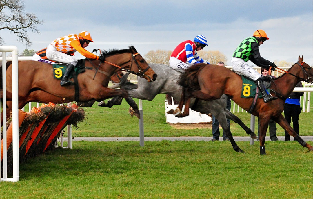 Horse Racing System - BettingMafia Expert Tipster zone